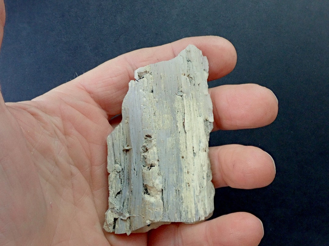 30453 Chalcedony Limb Cast Specimen Chalcedony Petrified Wood Limb Cast ...