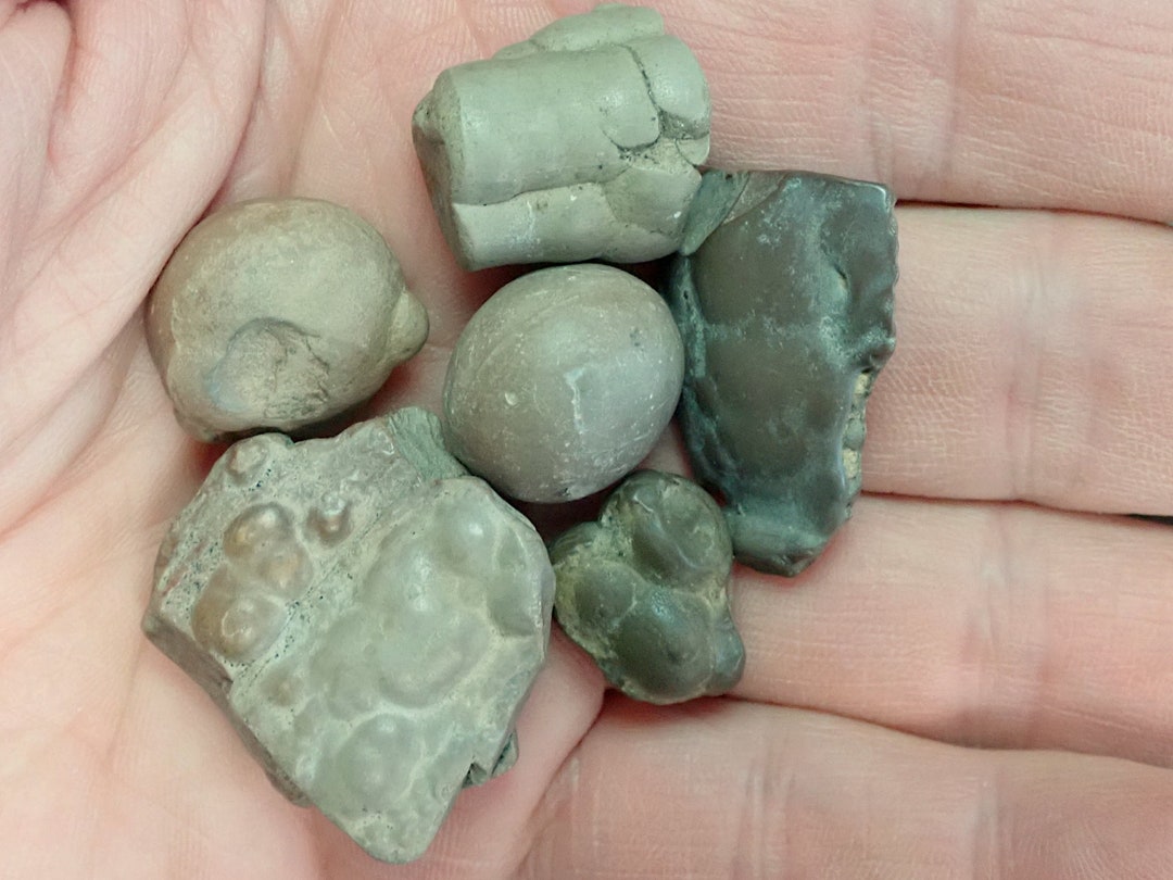 30530 Rhyolite Lot of 6 Botryoidal Rhyolite Mineral Specimens Total ...