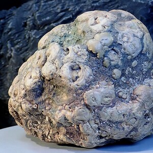 30854 Orbicular Rhyolite Specimen Rough 90 X 90 X 80 Mm 904 Grams ...