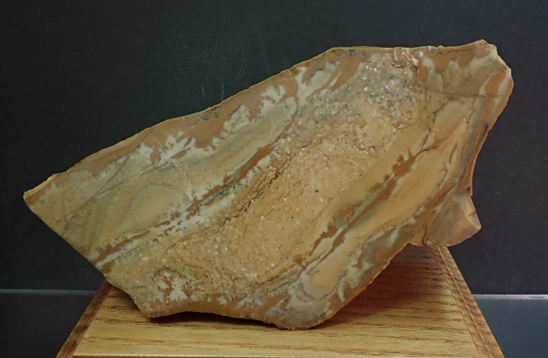 10192 Picture Jasper Scenic Picture Jasper Unpolished End Cut 105 X 52 ...