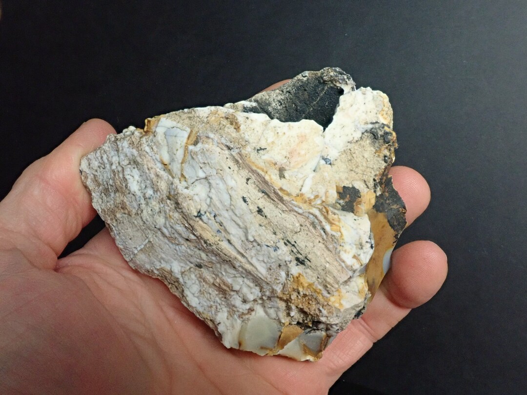 30563 Fluorescent Wood Opal Fluorescent UV Reactive Wood Opal Specimen ...