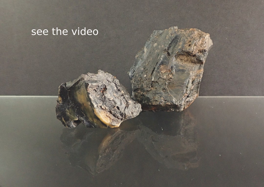 10838 Petrified Wood Green Hampton Butte Petrified Wood 2 Piece Lot 100 ...