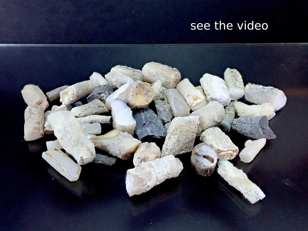 20076 Opal Limb Casts Lot of Common Opal Limb Cast Pieces - Etsy