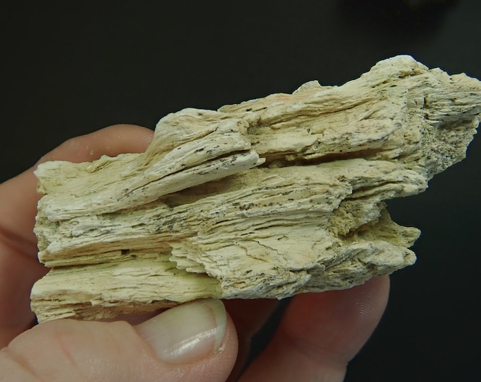 10401 Petrified Wood Specimen Fluorescent Opal Limb Cast Display ...
