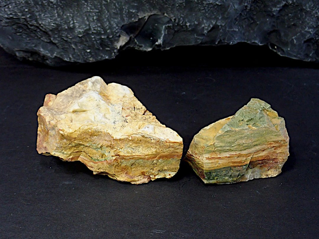 309475 Compressed Volcanic Ash Lot of 2 Silicisified Volcanic Ash ...