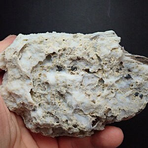 30553 Wood Opal Fluorescent UV Reactive Wood Opal Specimen 115 X 80 X ...