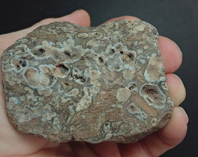 20084 Orbicular Rhyolite Small Cabinet Orbicular Rhyolite Specimen 80 X ...