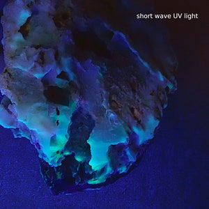 30553 Wood Opal Fluorescent UV Reactive Wood Opal Specimen 115 X 80 X ...