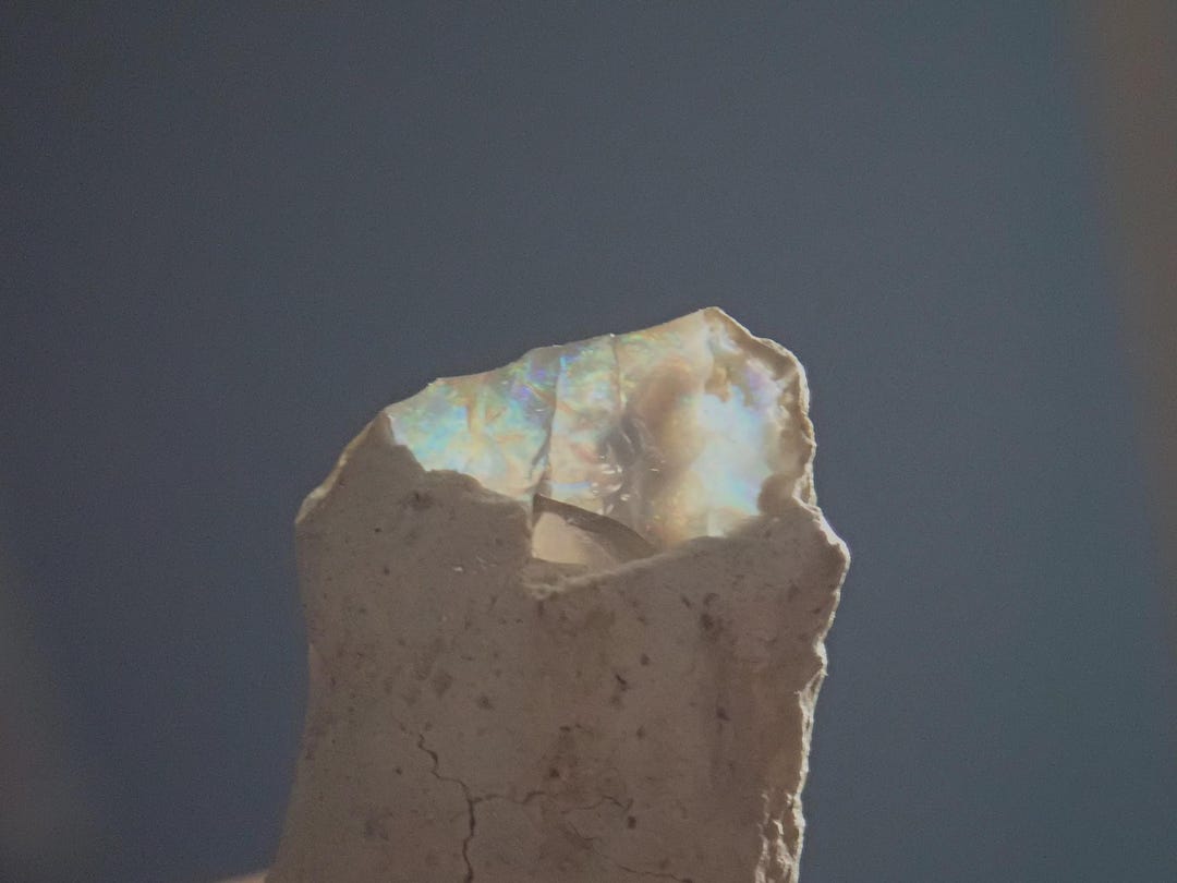 30770 Opal Limb Cast Specimen Dry Virgin Valley Precious Contraluz Opal ...