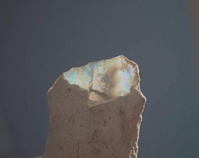 30770 Opal Limb Cast Specimen Dry Virgin Valley Precious Contraluz Opal ...