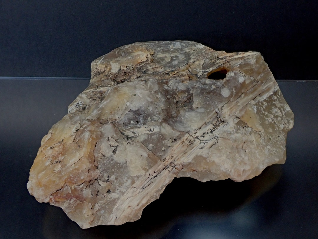 10577 Petrified Wood in Bog Agate UV Reactive Fluorescent Bog Agate 288 ...