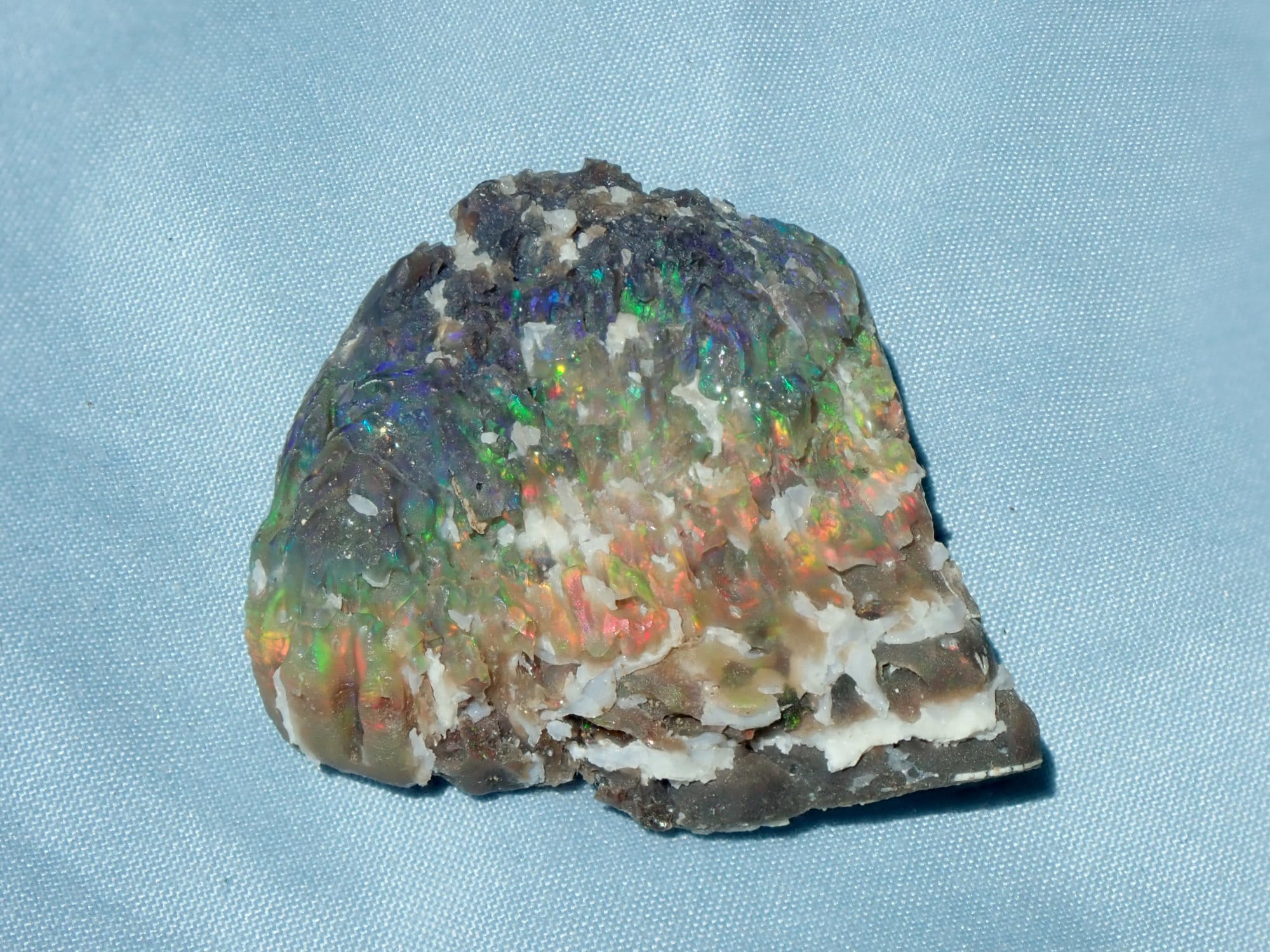30598 Virgin Valley Precious Opal Specimen Dry Stable Virgin Valley ...