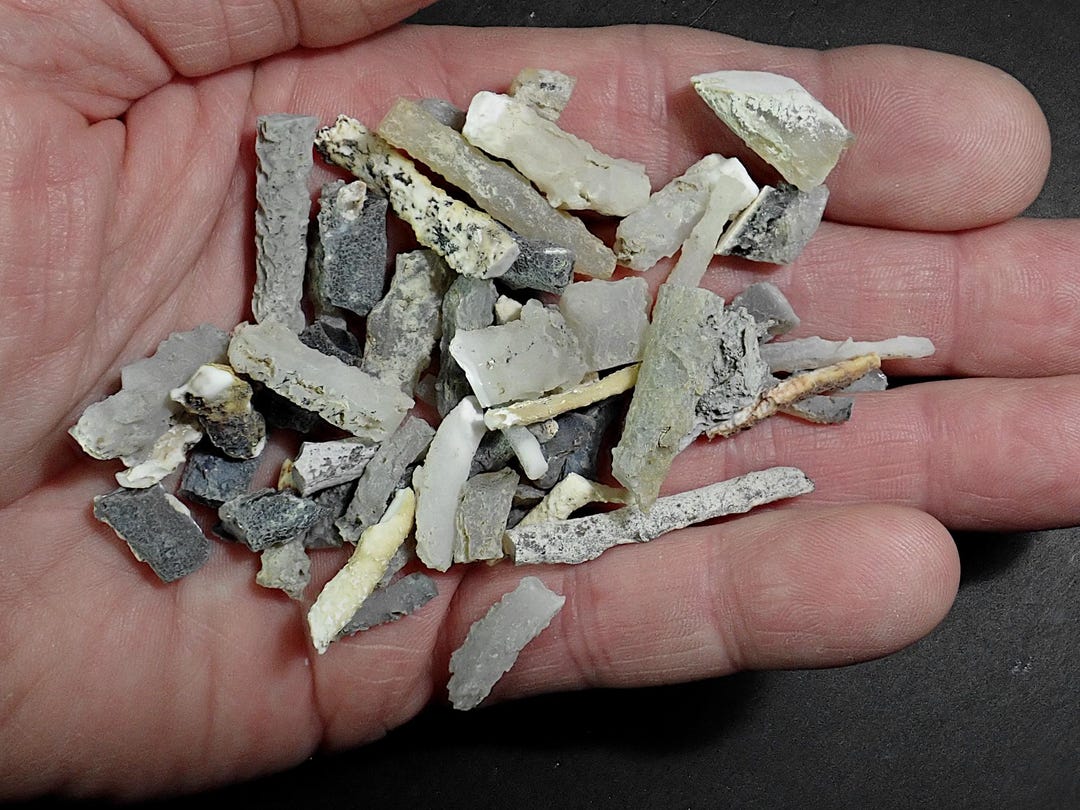 30866 Opal Limb Cast Specimens 1 Oz Lot of Opal Limb Casts of Stems ...