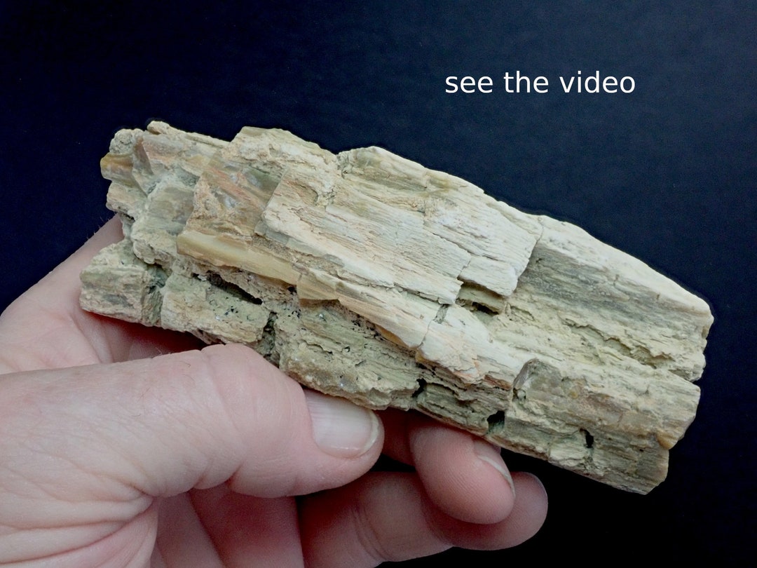 30059 Opal Limb Cast Common Opal Limb Cast Display Specimen 115 X 35 X ...