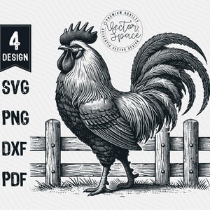 rooster crowing vector