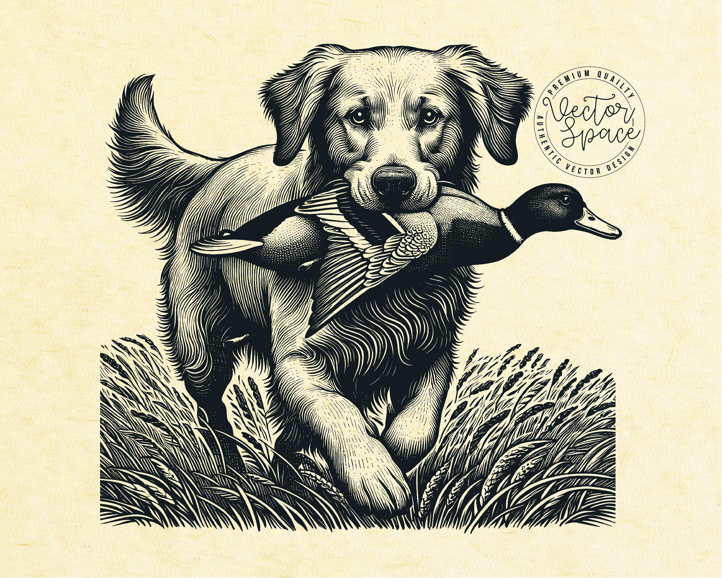 Duck Hunting Illustration Vector, Duck Hunting SVG, Duck Hunter, Duck ...