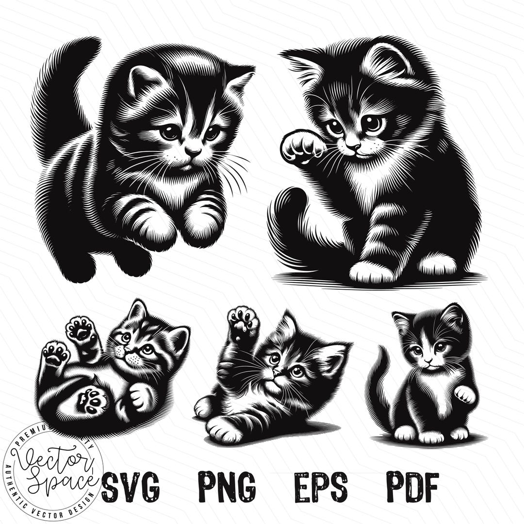 Cute Kitten Cat SVG, Cute Cat, Adorable Kitten Cat, Baby Cat, Cat ...