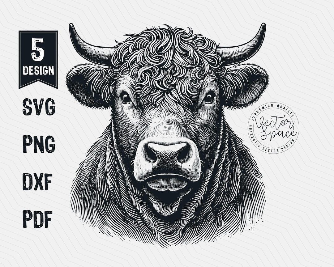 Angus Cow Head Illustration Vector, Cow Head SVG, Cow Head PNG Clipart ...