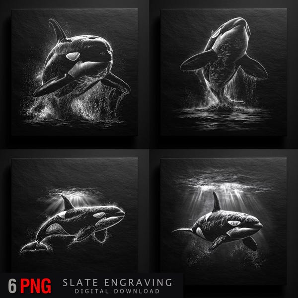 Orca Art - Etsy