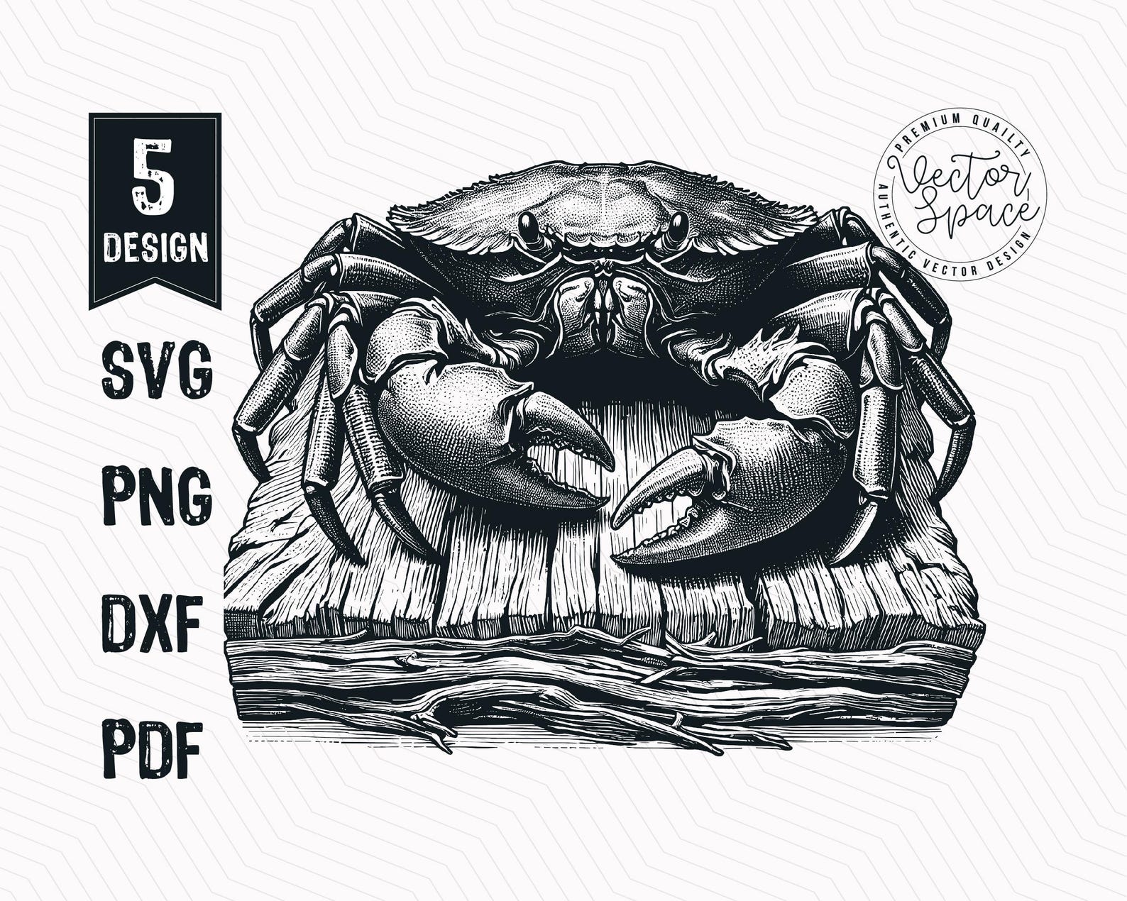 Crab Illustration Vector, Seafood SVG, Marine, Ocean Life, Hermit Crab ...