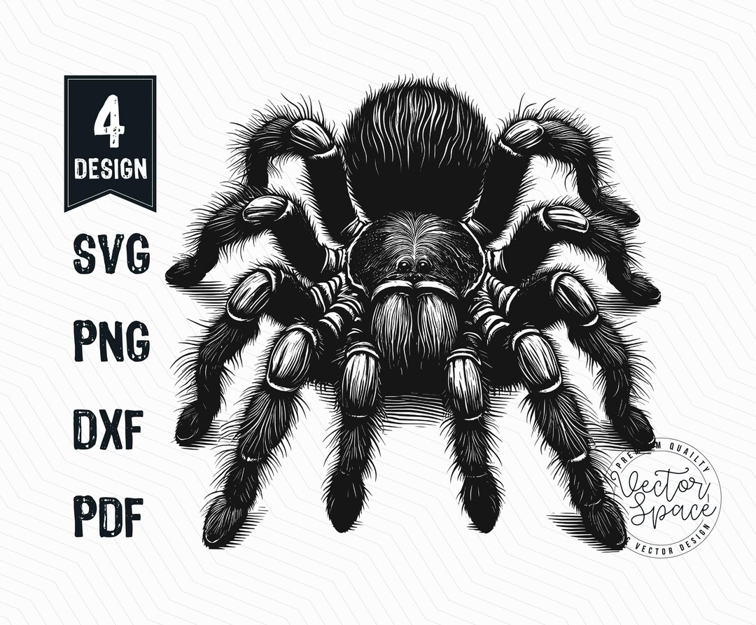 Tarantula Spider Illustration Vector, Tarantula SVG, Spider SVG ...