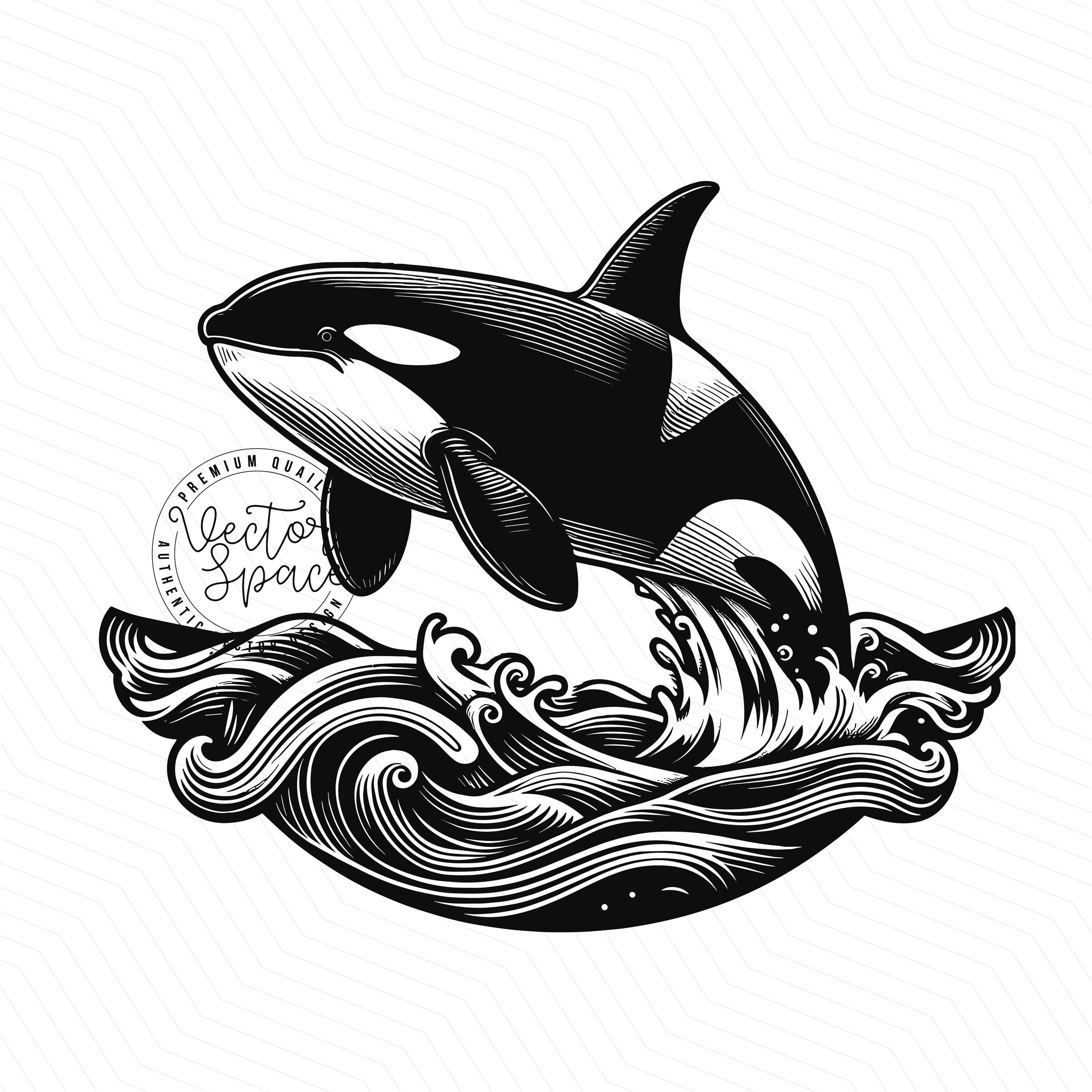 Orca SVG Bundle, Killer Whale Clipart, Ocean Animal SVG PNG, Leaping ...