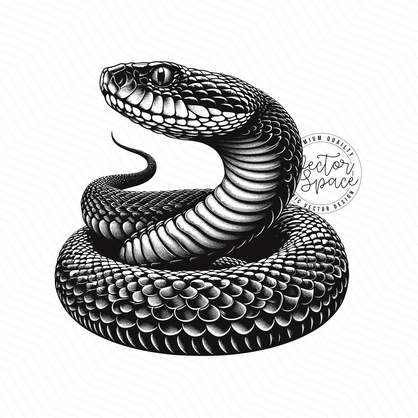 Snake SVG, Snake Bundle Vector, Reptile Snake, Snake Head, Coiled Snake ...