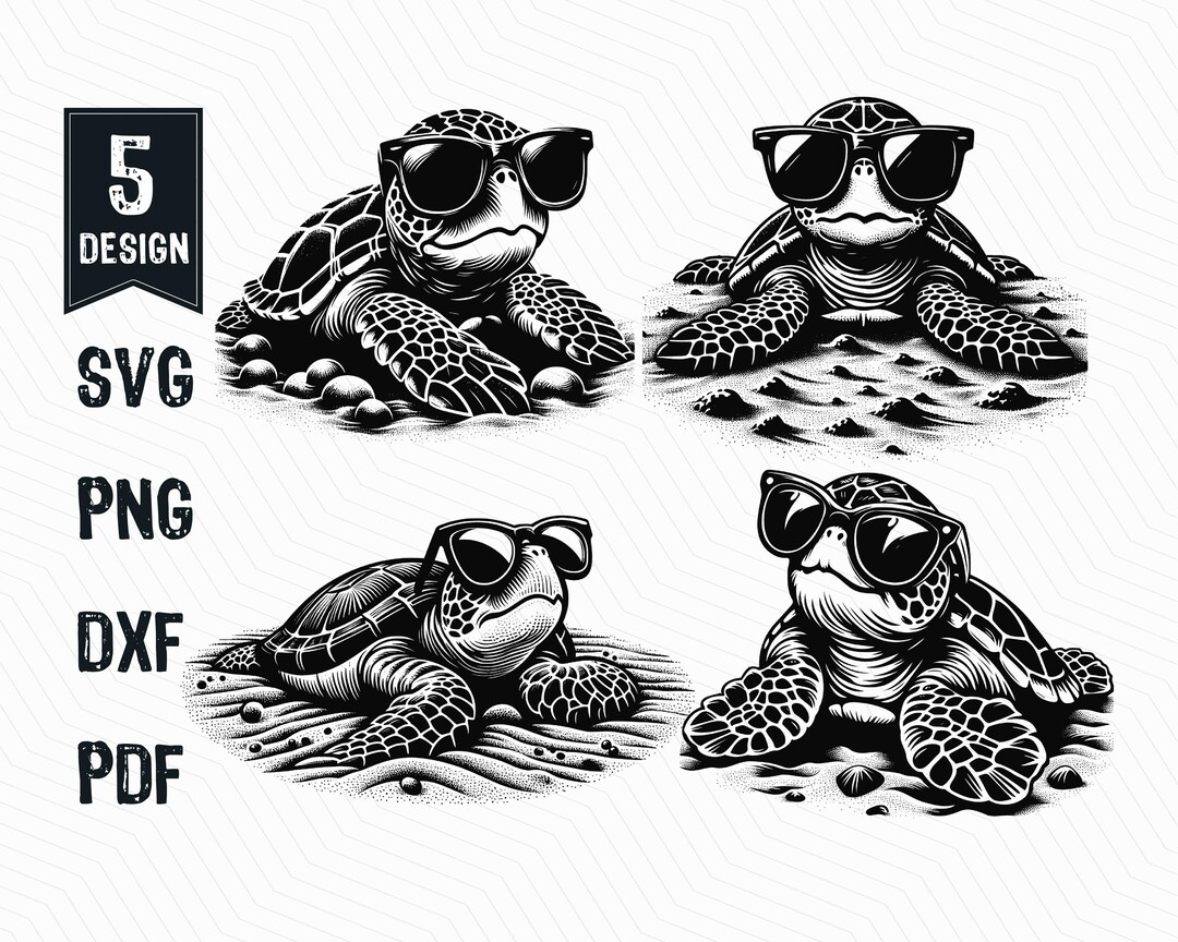 Cute Baby Turtle, Funny Turtle SVG, Turtle Sunglasses , Adorable Cute ...