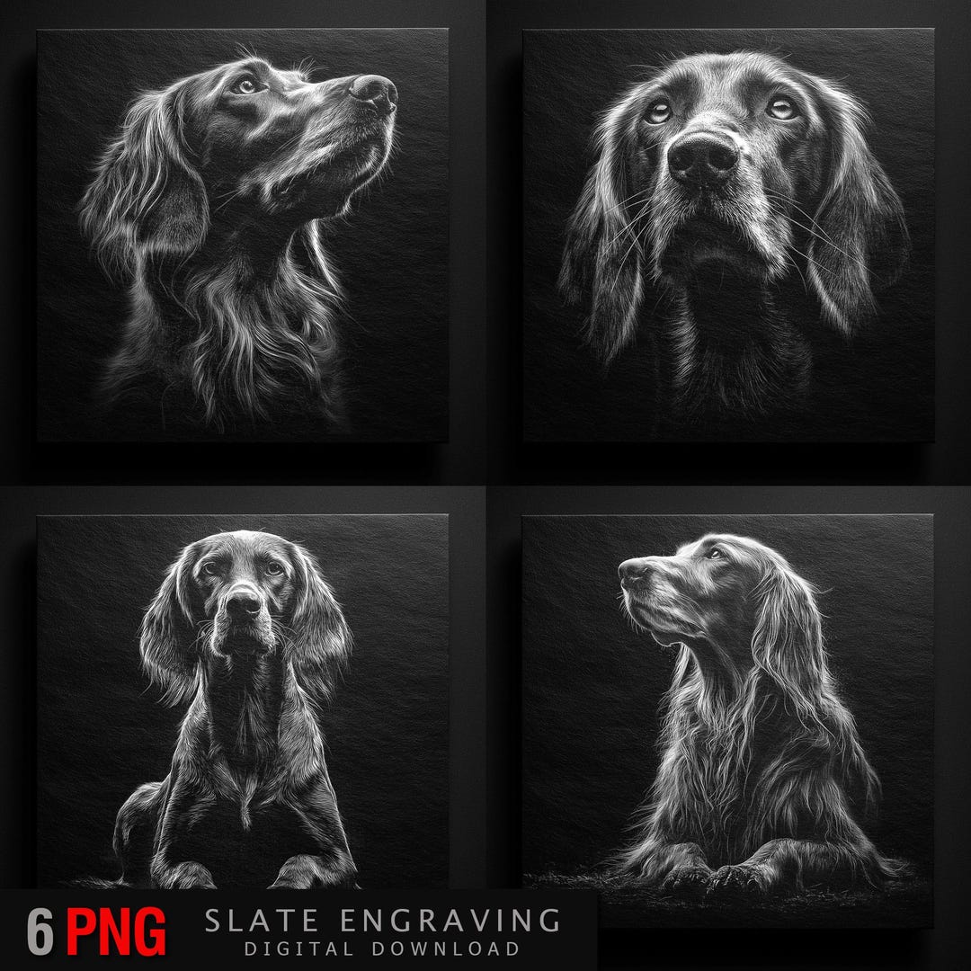 Long Haired Setter PNG Bundle: Weimaraner Style Dog Art (digital ...