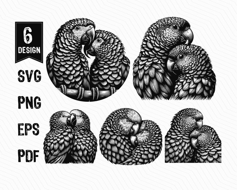 Parrots Couple SVG, Parrots Svg, Romantic Parrots, Nuzzling Parrots ...