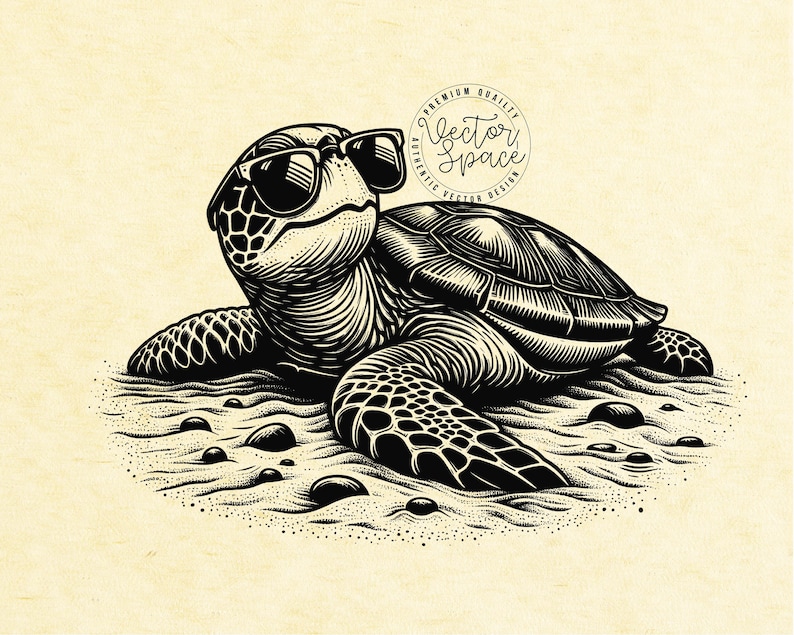 Cute Baby Turtle, Funny Turtle SVG, Turtle Sunglasses , Adorable Cute ...
