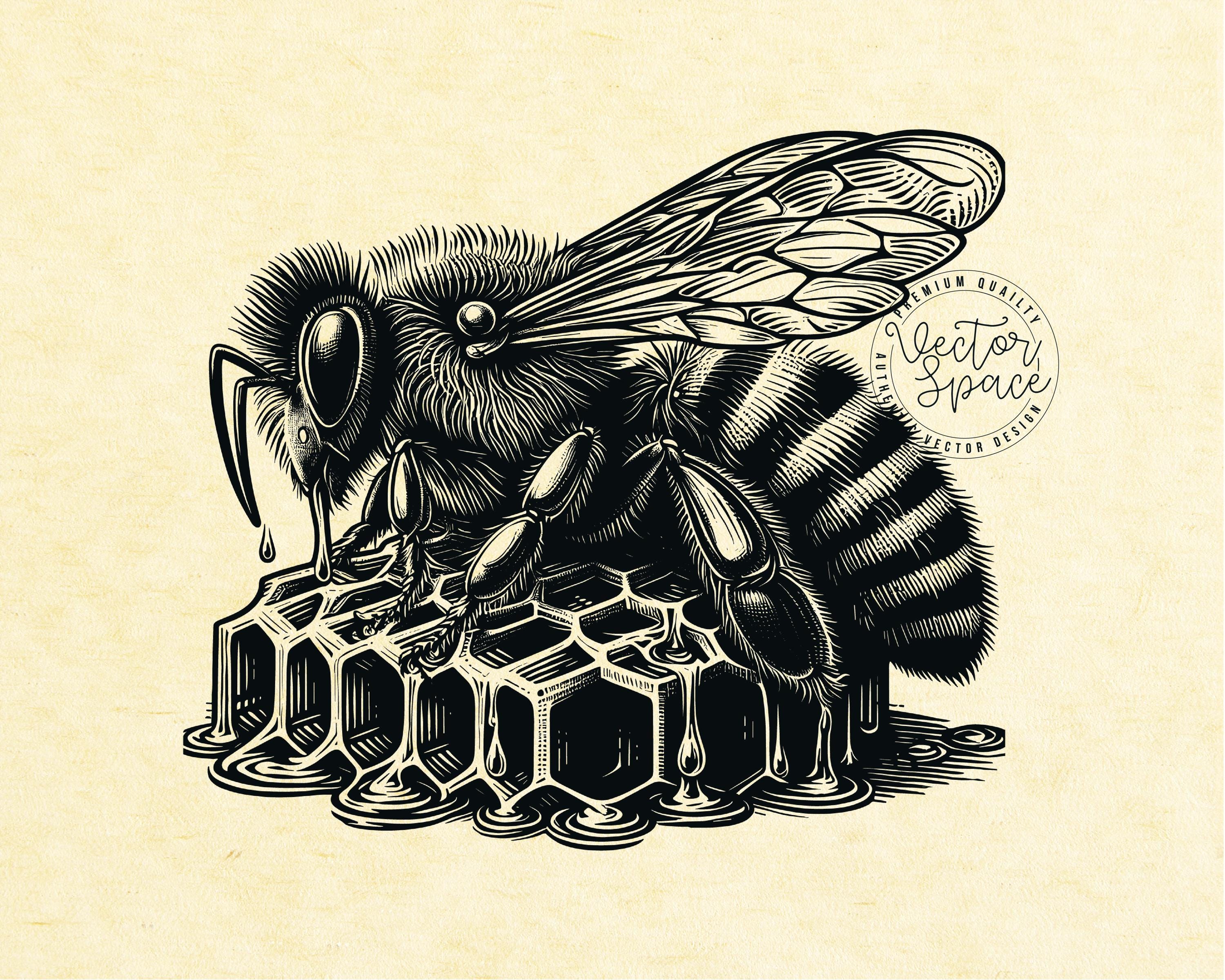 Bee Vector Illustration, Honeycomb SVG, Honey Svg, Bee Logo, Bee Hive ...