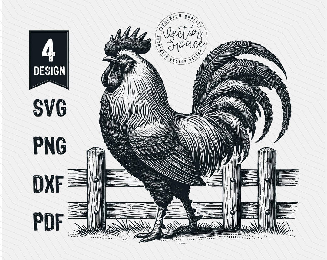 Rooster Illustration Vector SVG, Rooster SVG, Rooster Chicken, Crowing ...