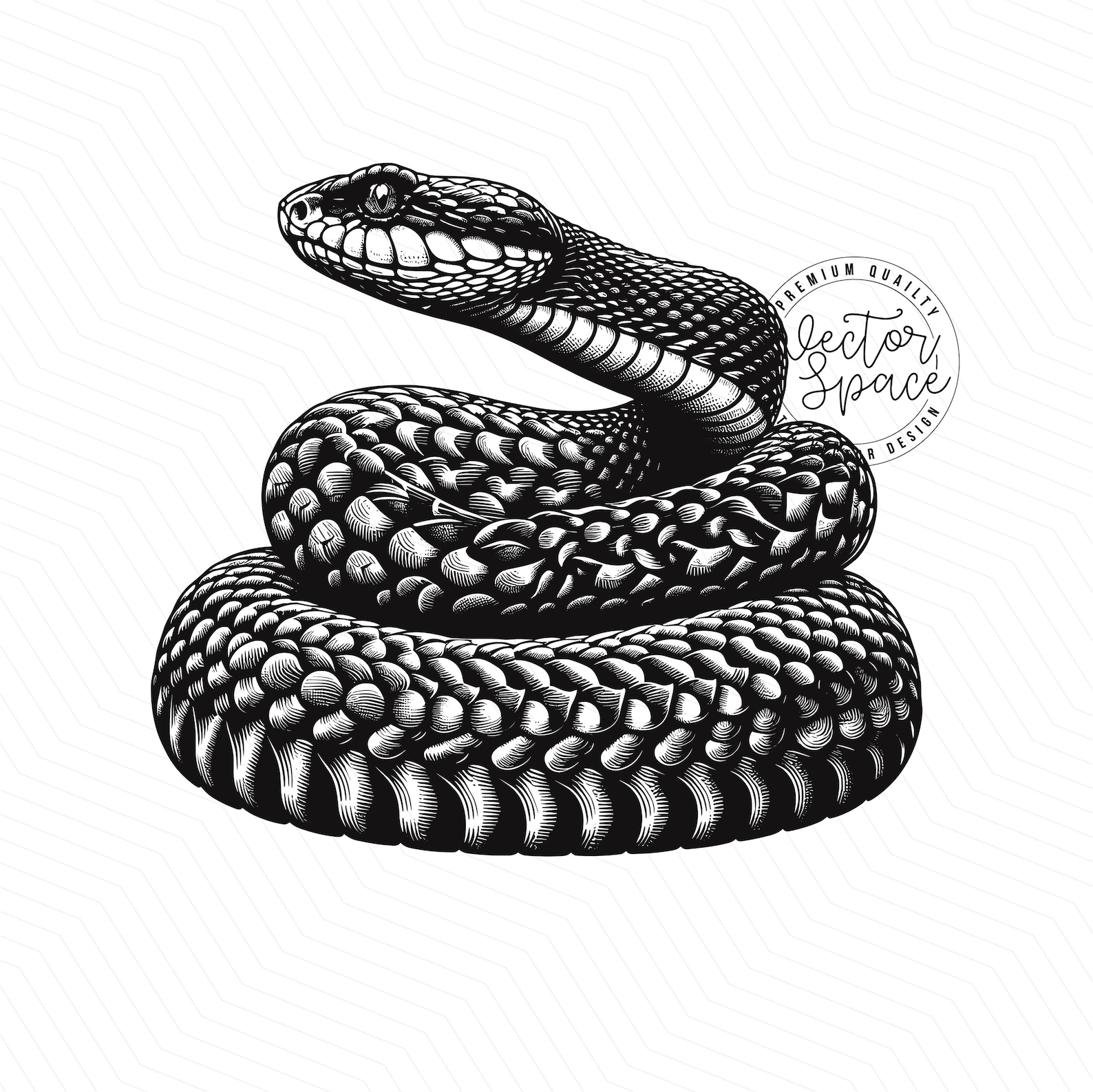 Snake SVG, Snake Bundle Vector, Reptile Snake, Snake Head, Coiled Snake ...