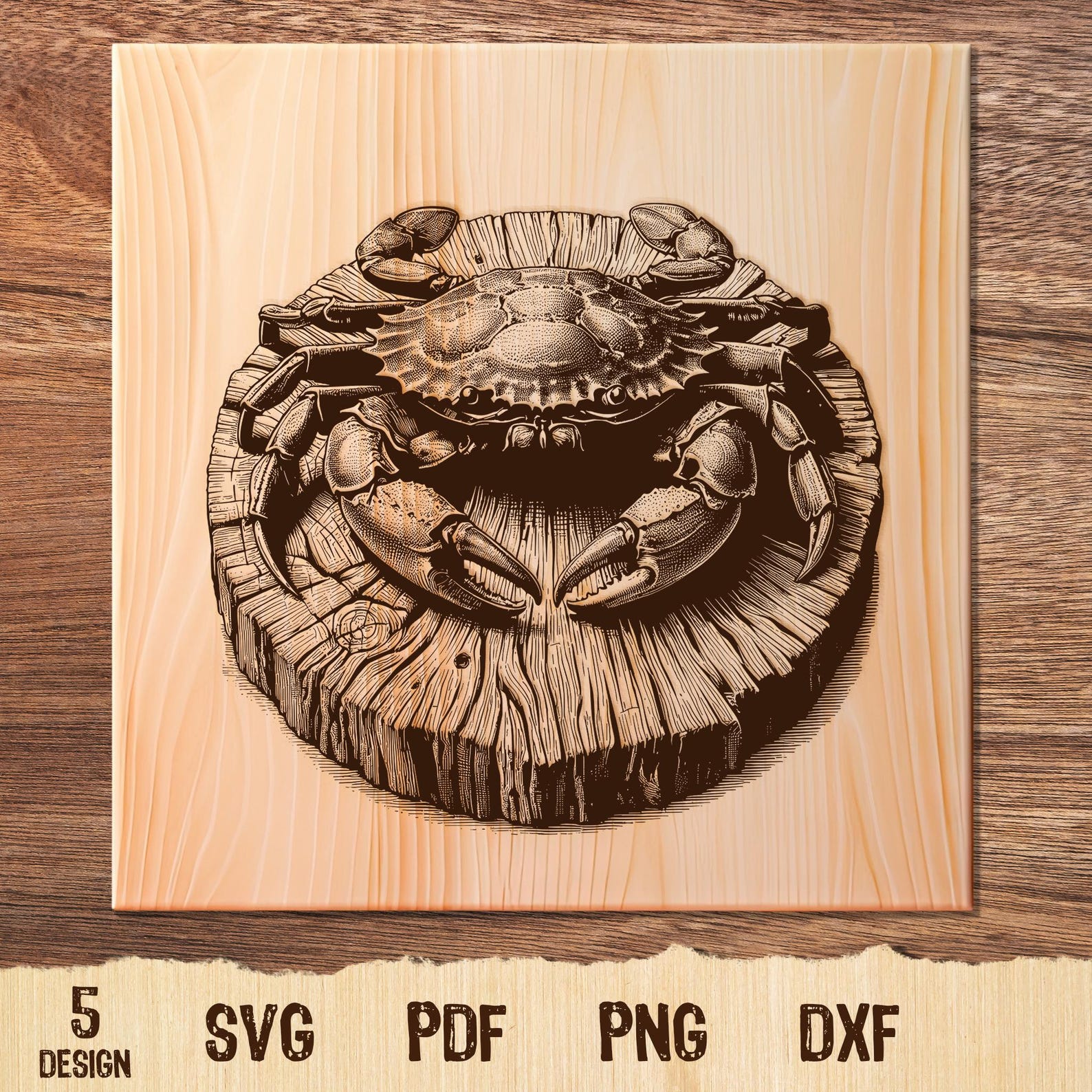 Crab Illustration Vector, Seafood SVG, Marine, Ocean Life, Hermit Crab ...