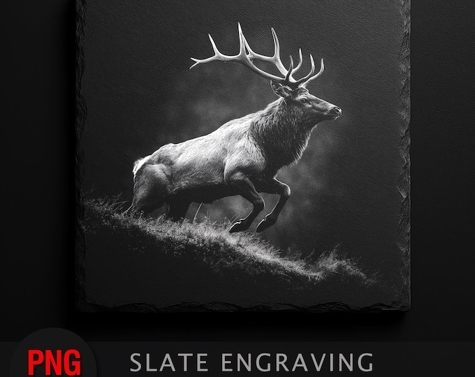 Deer Engraving PNG | White-tailed Stag Drinking at Forest Stream ...