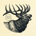 Elk Head Illustration Vector, Elk Bugling, Elk Bugle SVG, Detailed Elk ...