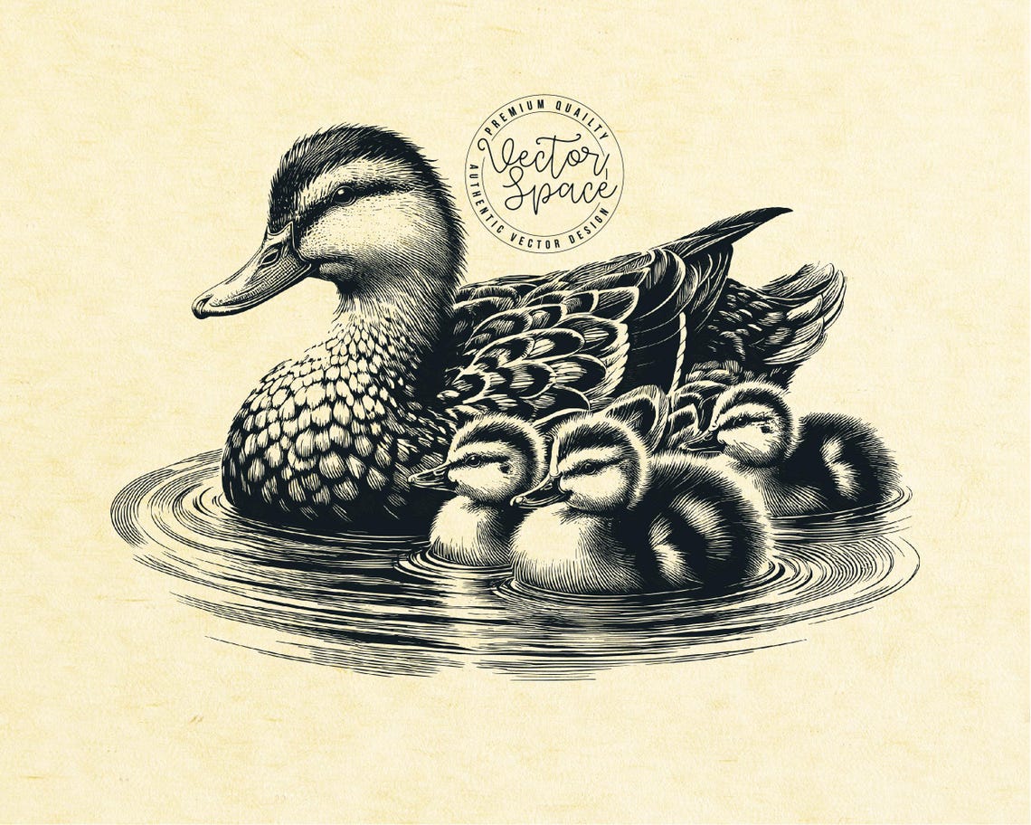 Duck Swimming Vector Illustration, Duckling Swimming, Duck SVG, Hunting ...