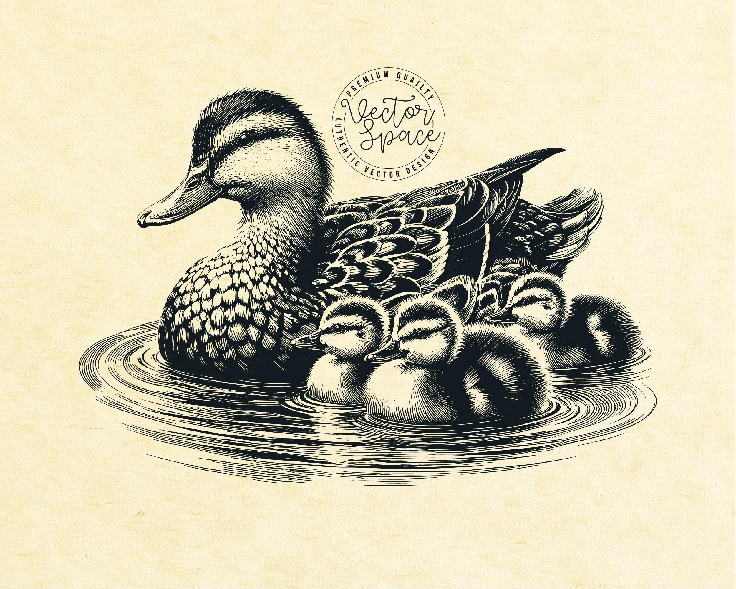 Duck Swimming Vector Illustration, Duckling Swimming, Duck SVG, Hunting ...