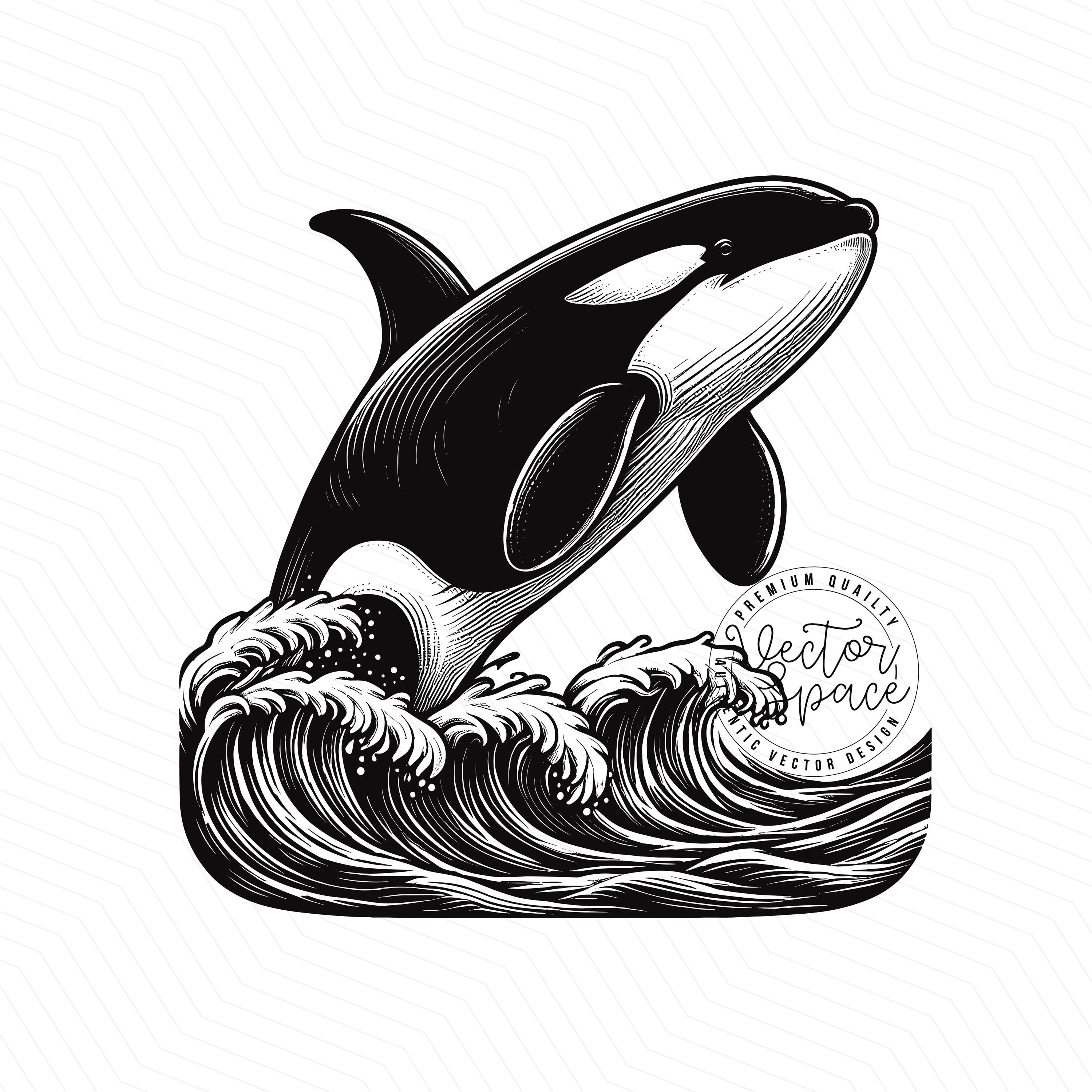 Orca SVG Bundle, Killer Whale Clipart, Ocean Animal SVG PNG, Leaping ...