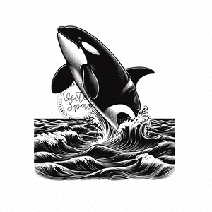 Orca SVG Bundle, Killer Whale Clipart, Ocean Animal SVG PNG, Leaping ...