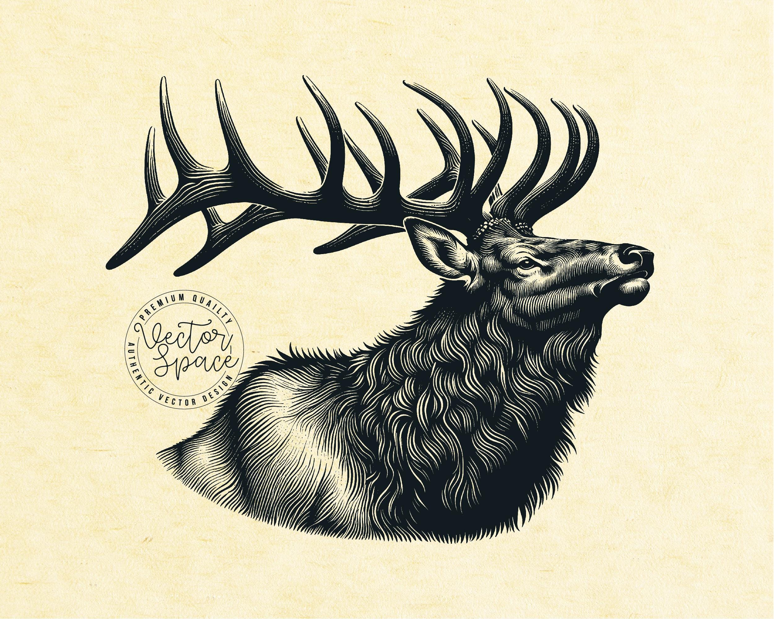 Elk Head Illustration Vector, Elk Bugling, Elk Bugle SVG, Detailed Elk ...