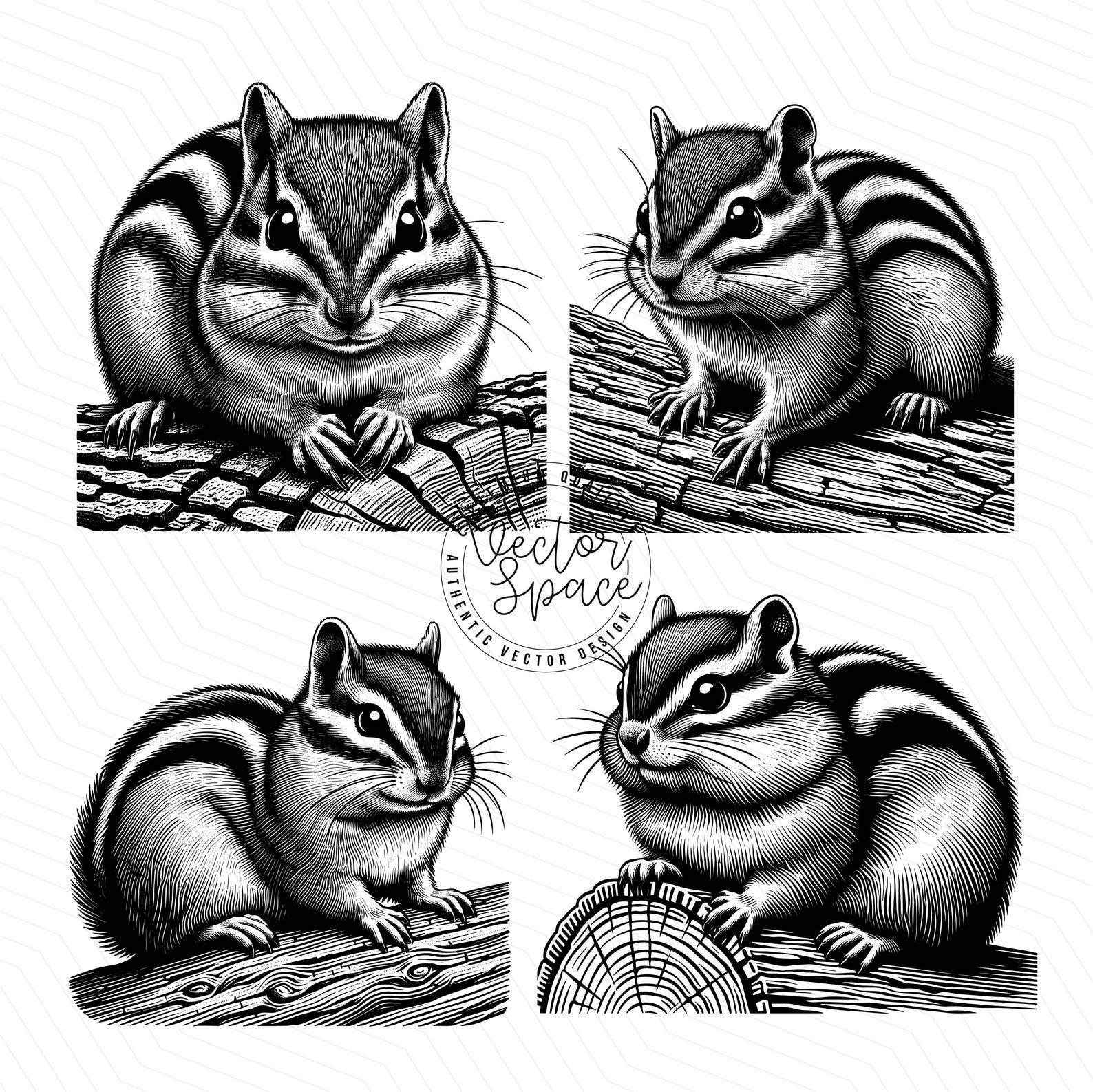 Squirrel Chipmunk SVG, Chipmunk Bundle, Cute Squirrel, Woodland Animal ...