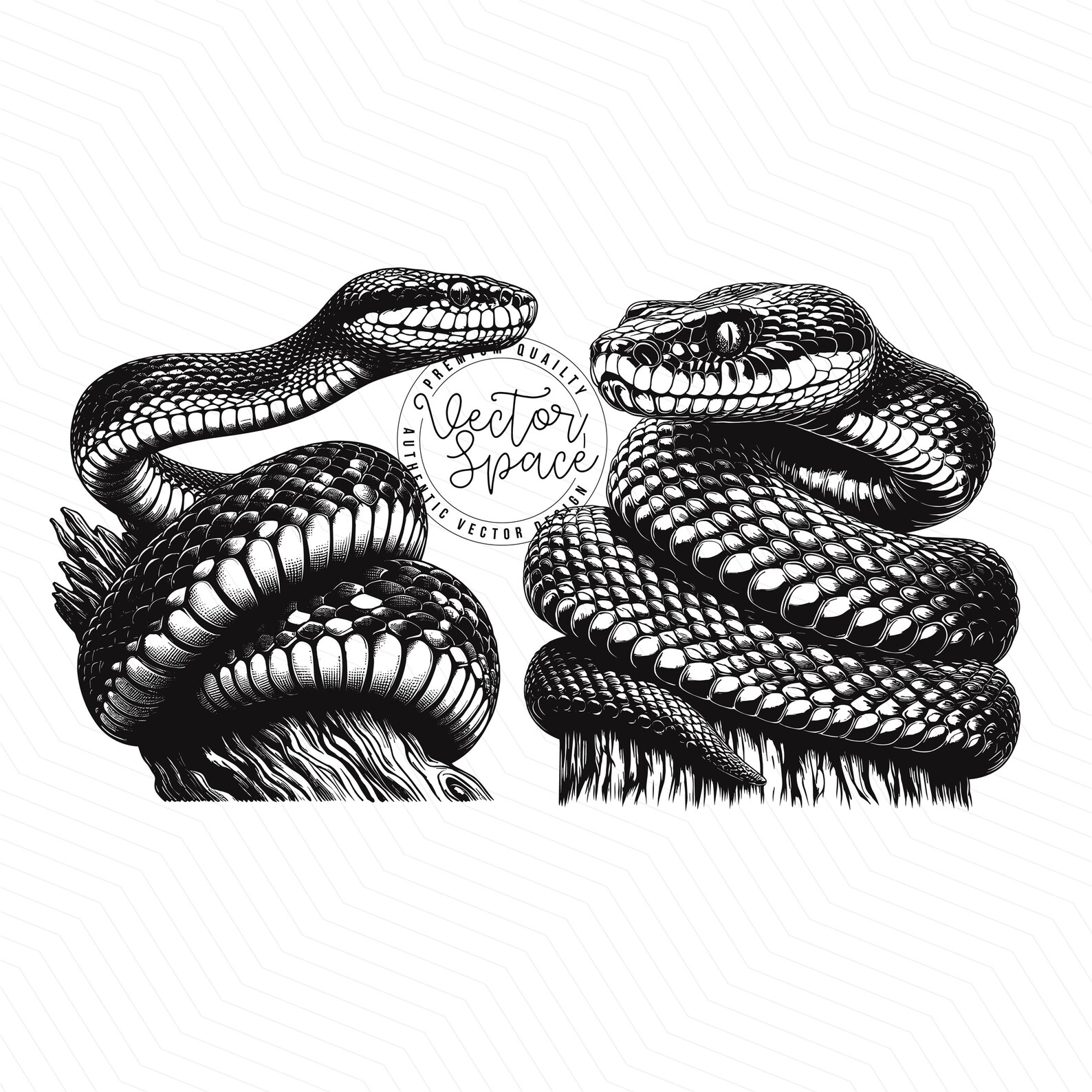 Snake SVG, Snake Bundle Vector, Reptile Snake, Snake Head, Coiled Snake ...