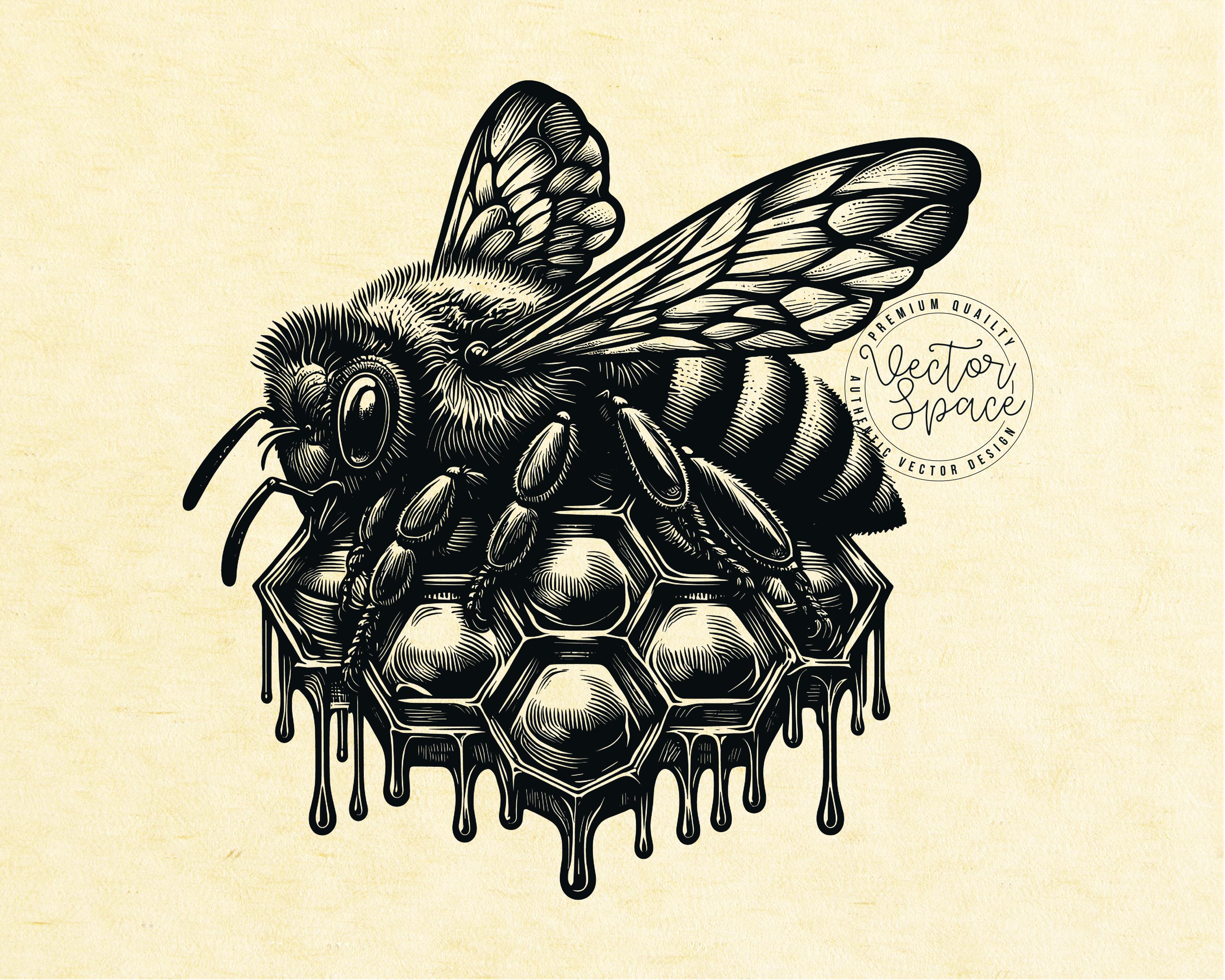 Bee Vector Illustration, Honeycomb SVG, Honey Svg, Bee Logo, Bee Hive ...