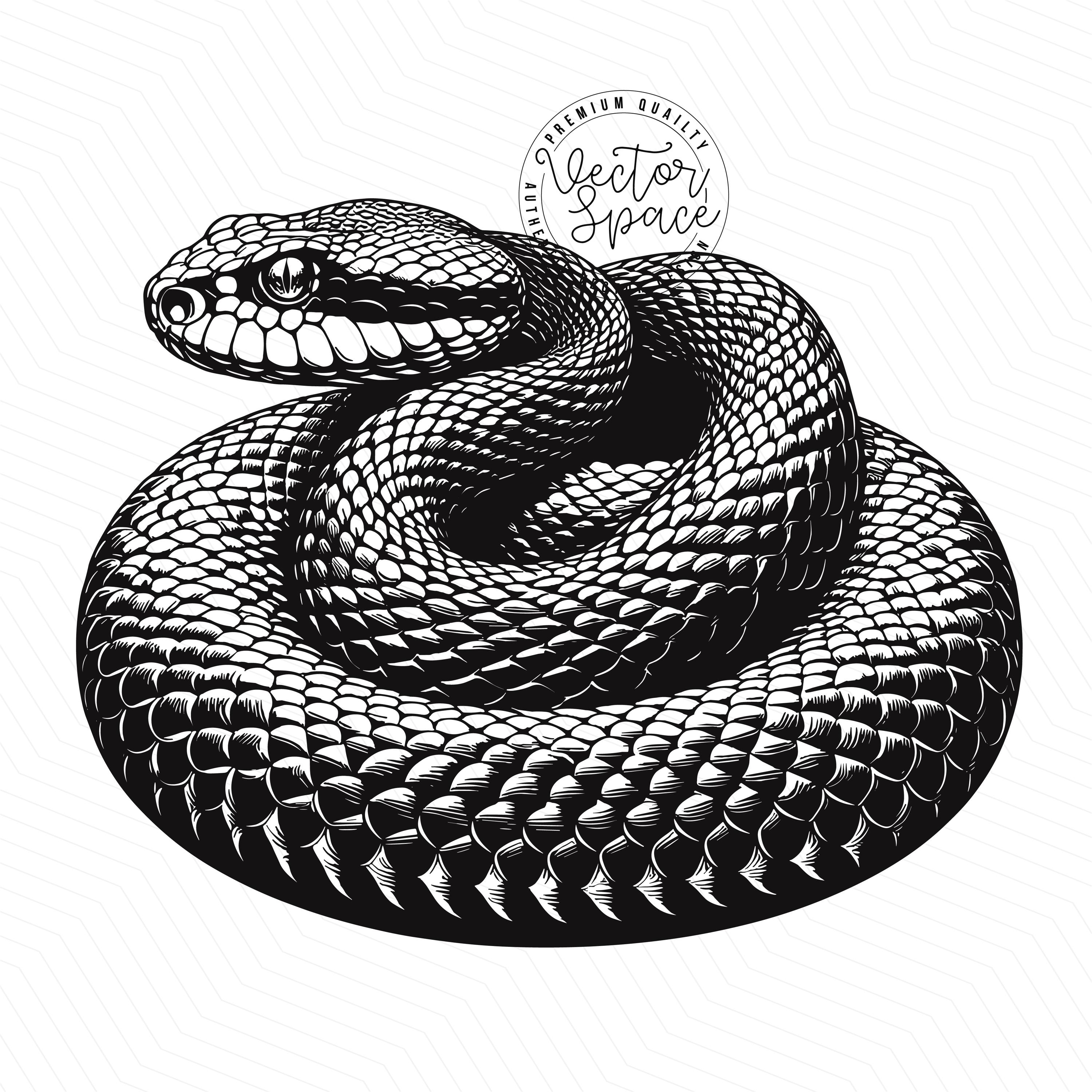 Snake SVG, Snake Bundle Vector, Reptile Snake, Snake Head, Coiled Snake ...