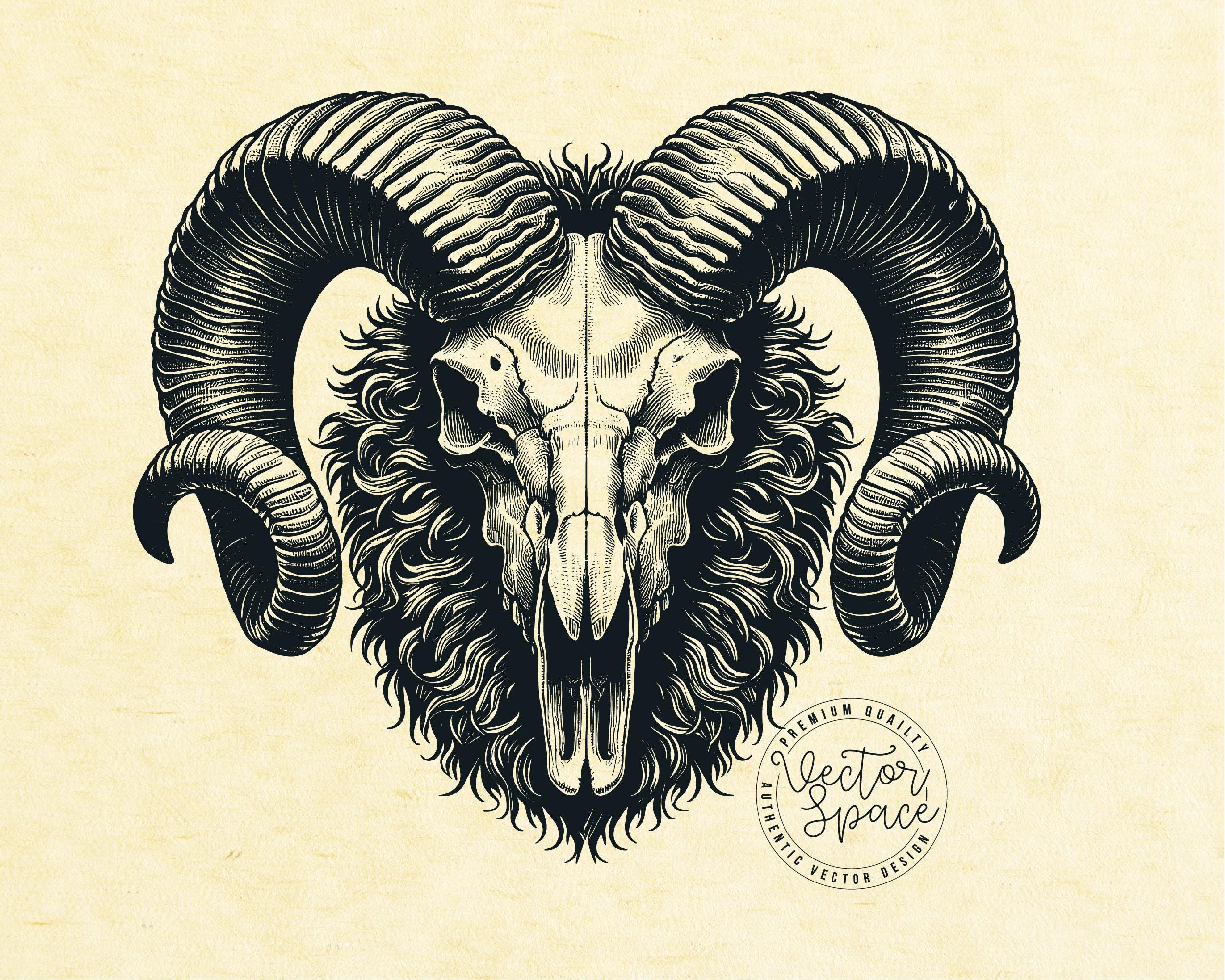 Ram Skull Illustration Vector, Ram Skull Head SVG, Dark Gothic Ram Horn ...