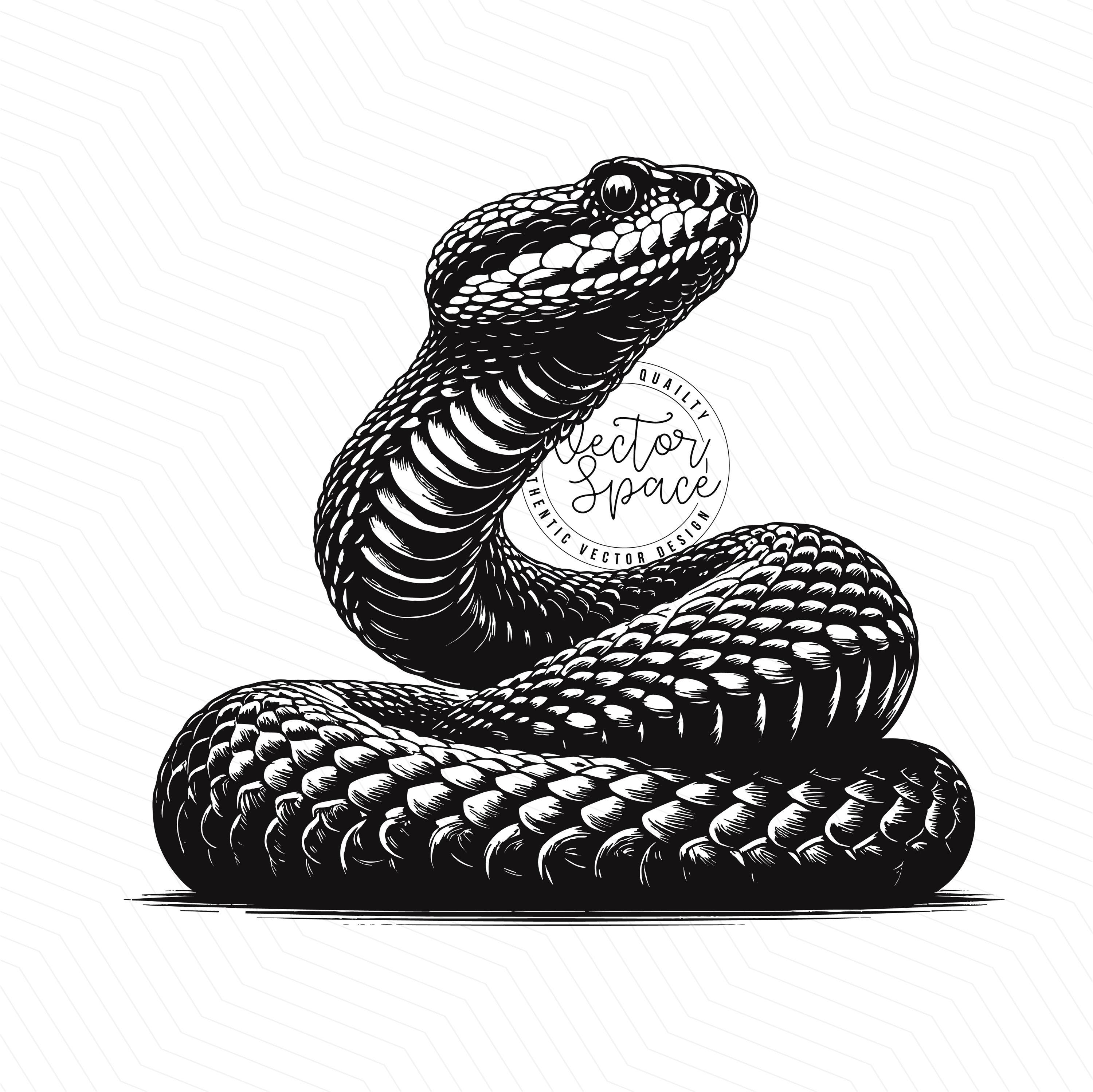 Snake SVG, Snake Bundle Vector, Reptile Snake, Snake Head, Coiled Snake ...