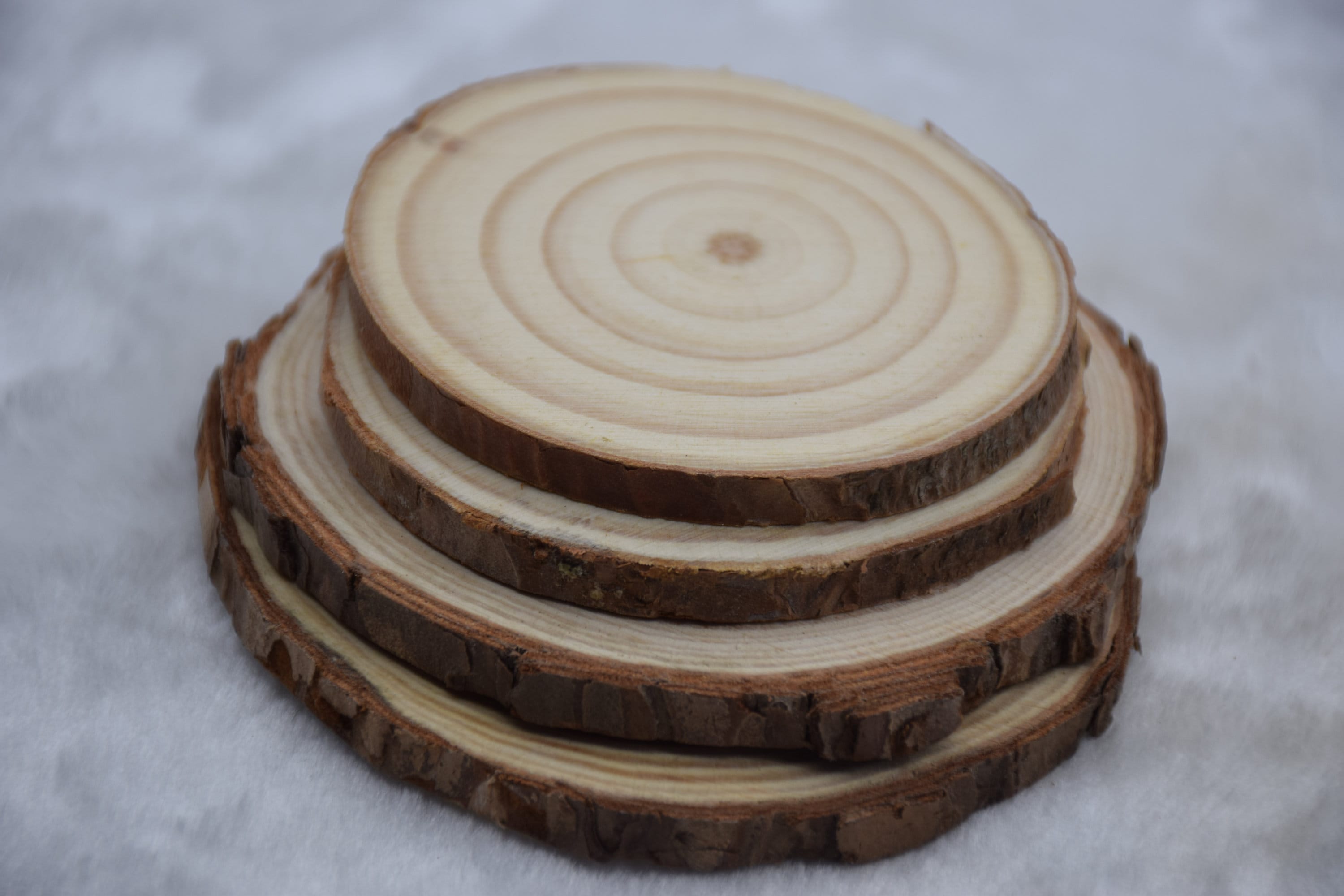 Round Unfinished Wood Slices,natural Pine Circles With Tree Bark,wood ...