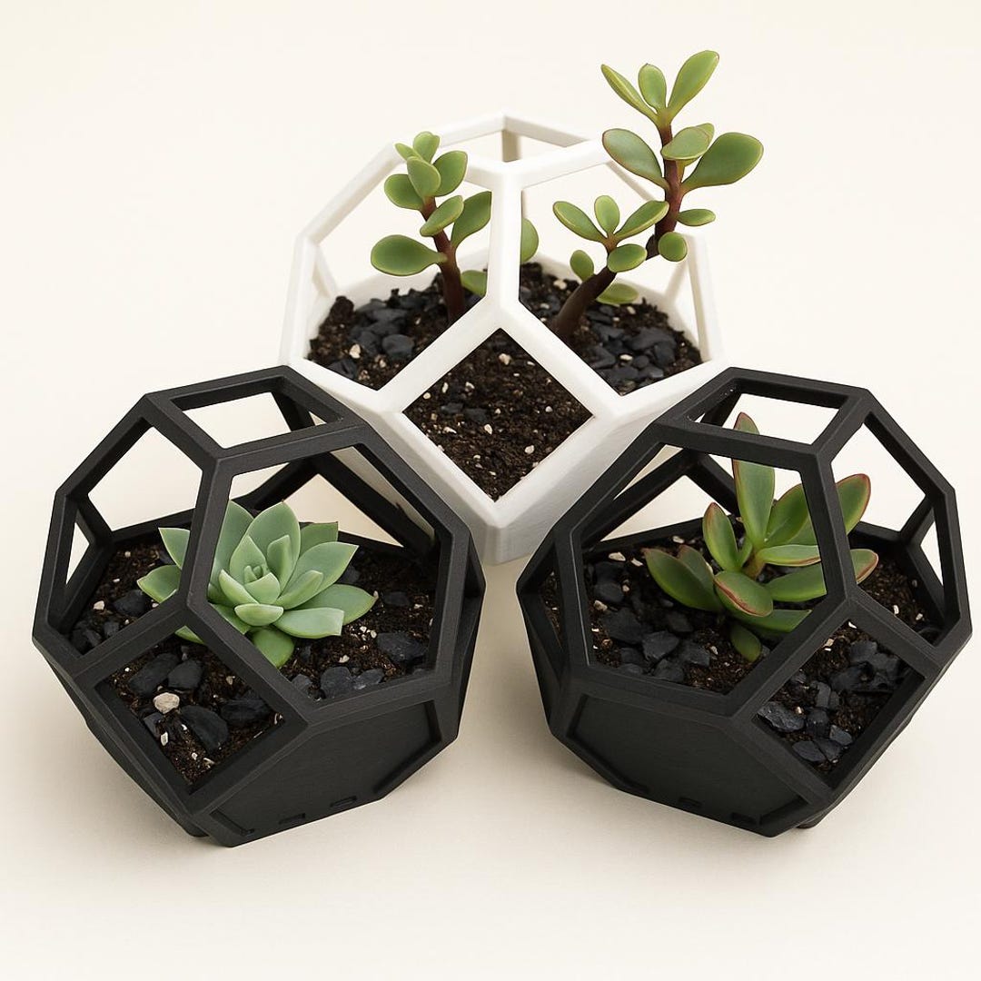 Geometric Succulent Planters With Plants – Modern 3D Printed Indoor ...